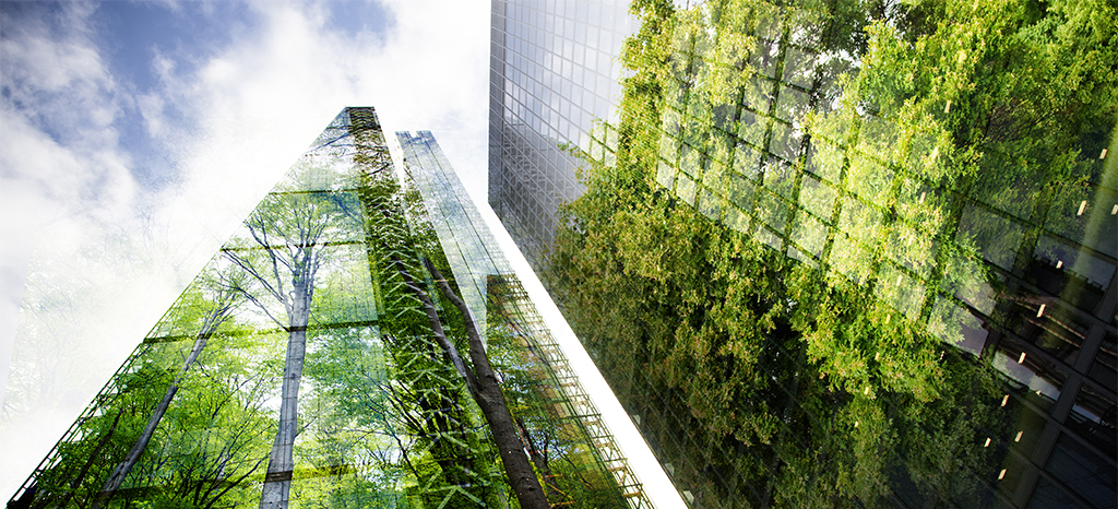 Financing the Green transition