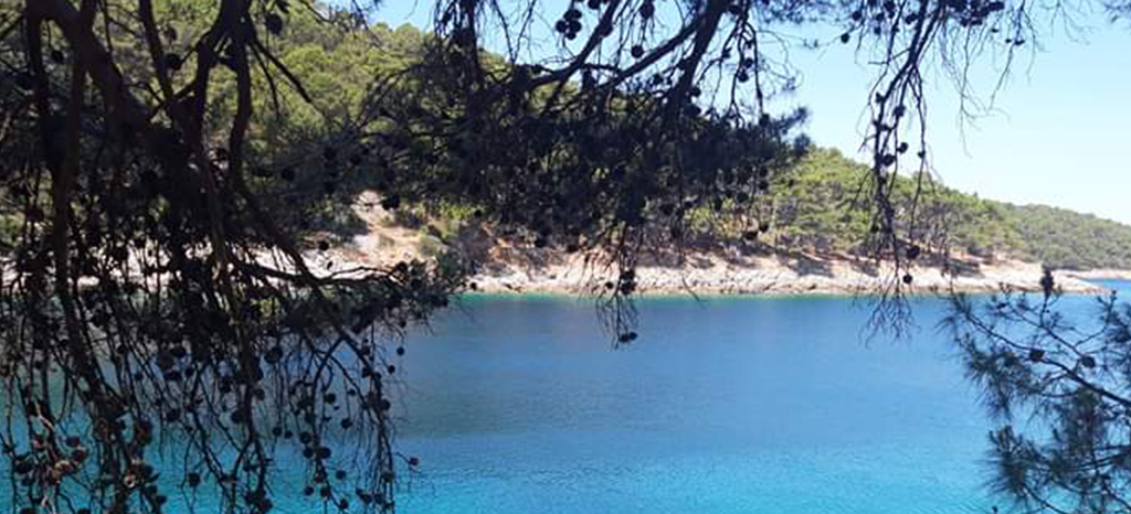 YOUR SUMMER SNAPS!